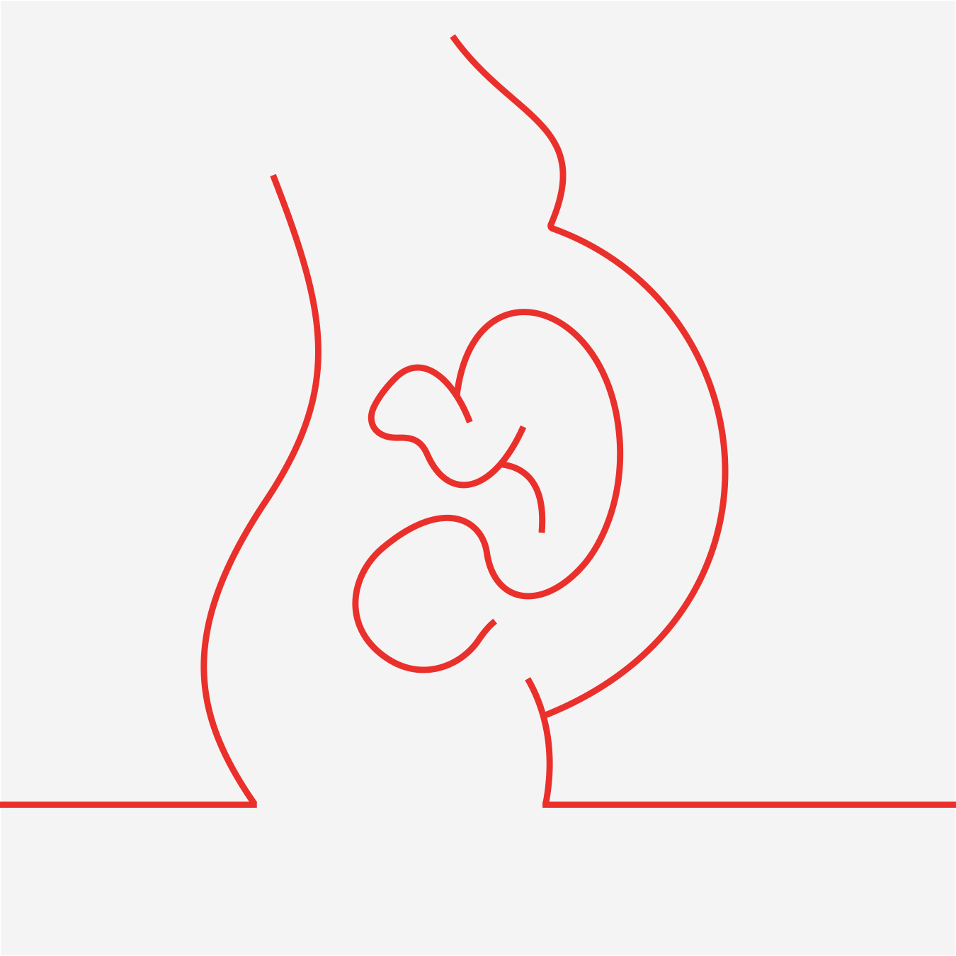 Profil TORCH - Vezi oferta - Policlinica Analize Incredere