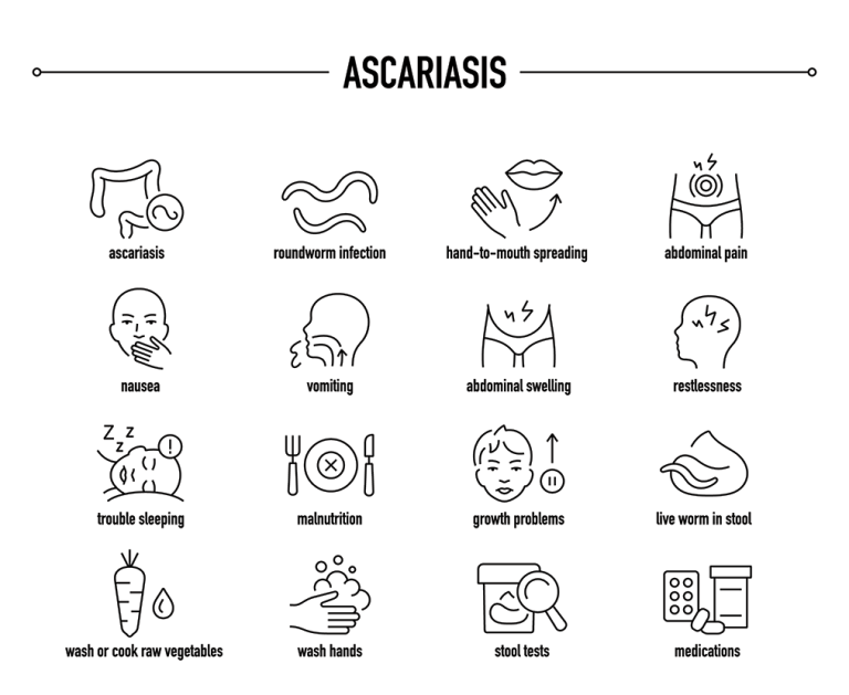 Ce este ascaridioza: cauze, simptome si tratament - Policlinica Analize ...